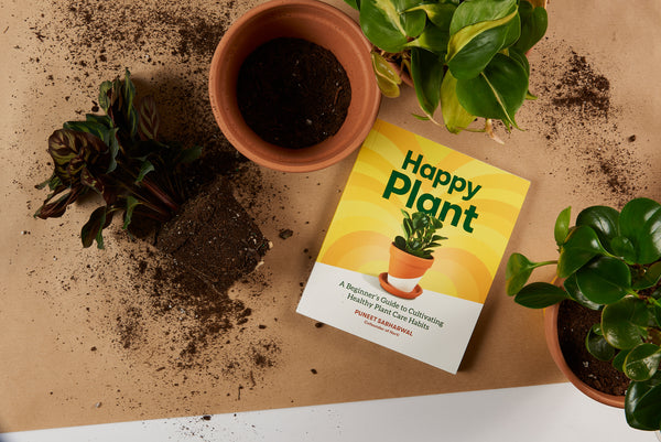 What Makes a Happy Plant? – Horti