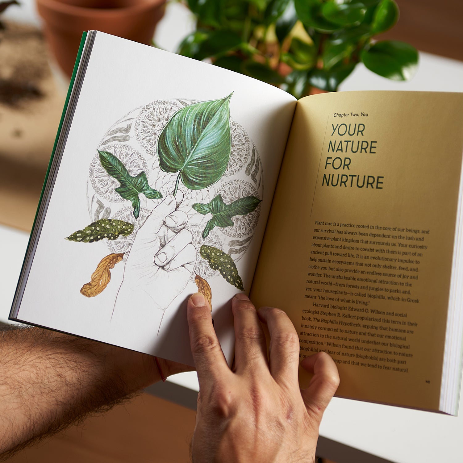 HAPPY PLANT BOOK – Horti