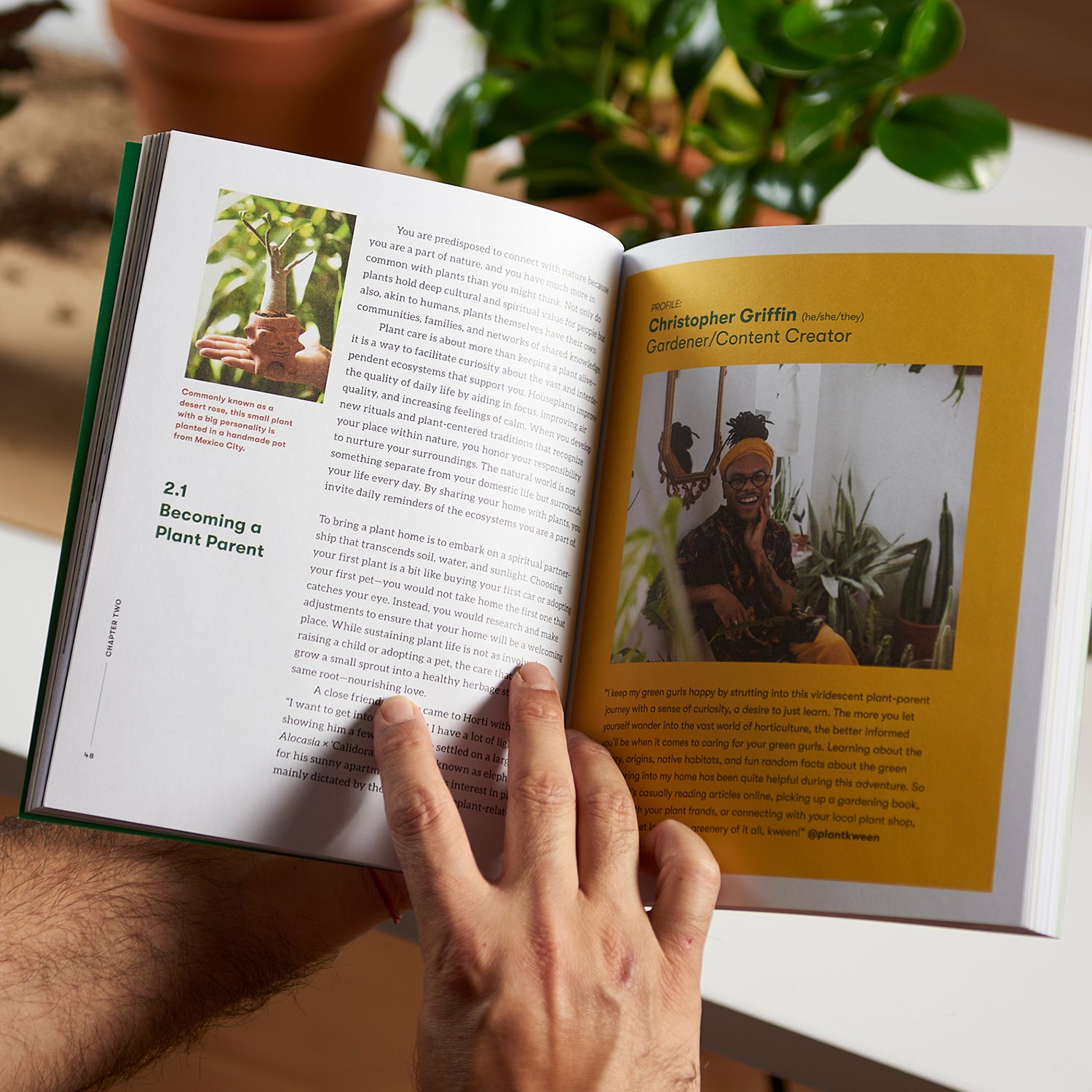 HAPPY PLANT BOOK – Horti